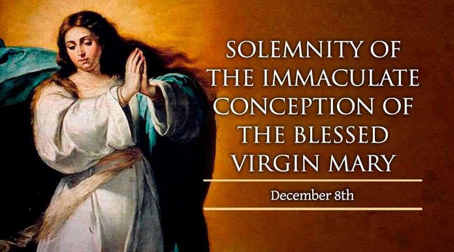 The Immaculate Conception of The Blessed Virgin Mary – Saint James ...