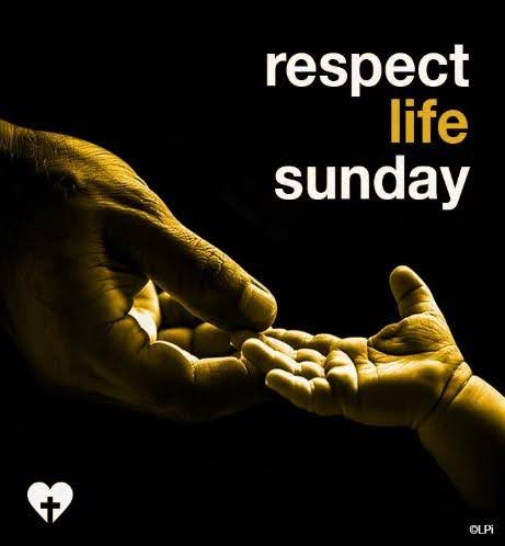 ANNUAL LIFE CHAIN – Saint James Catholic Church